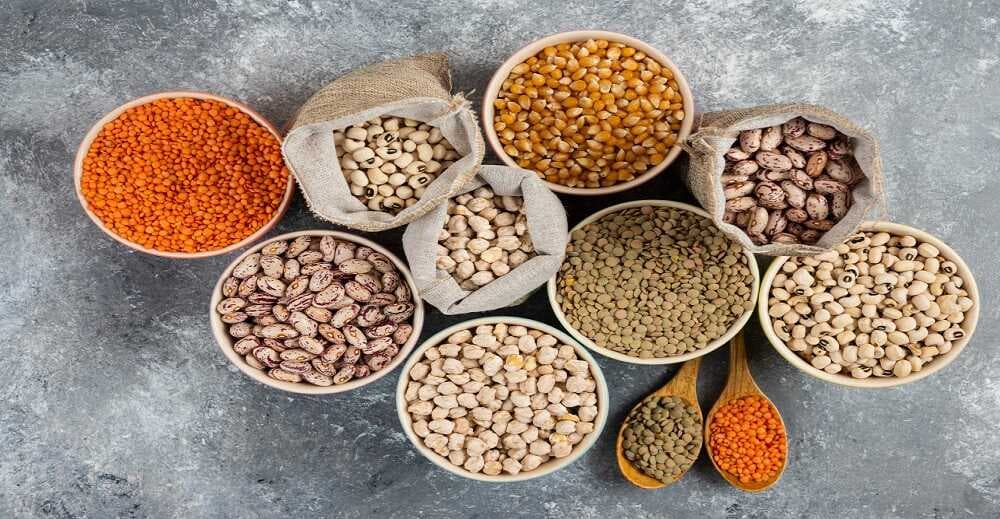 Unveiling the Top 10 Pulses That Pack a Nutritional Punch