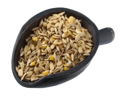 Organic Feed Market Trend–Fostering Sustainable Livestock Farming