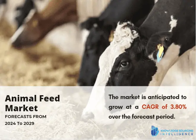 Animal Feed Market Insights: Size, Share, Trends, Forecast 2029
